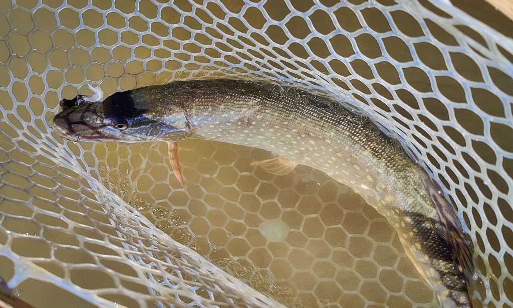 Home - Port Albert Paradise